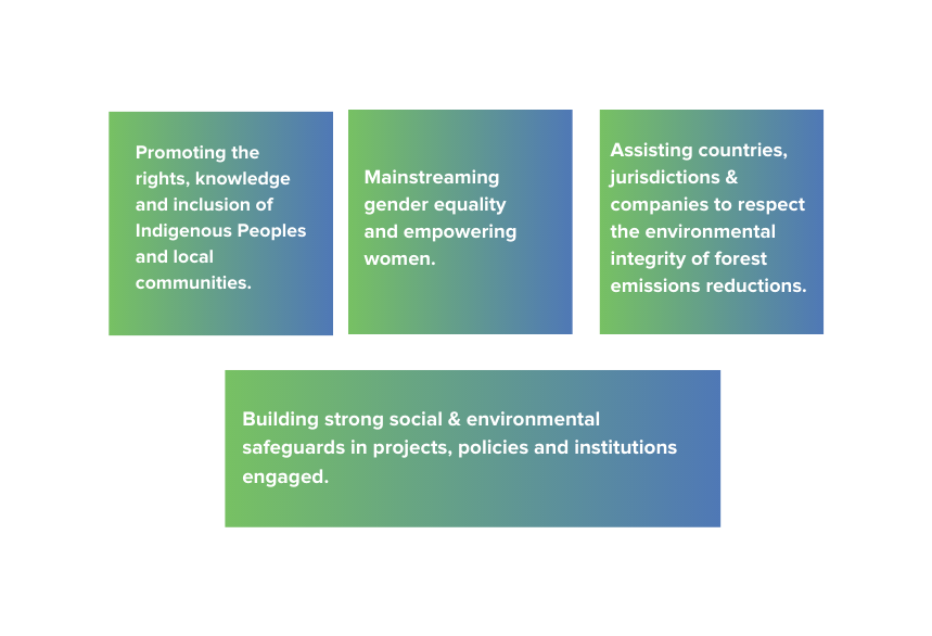 Equity And Integrity In Forest Solutions Climate And Forests